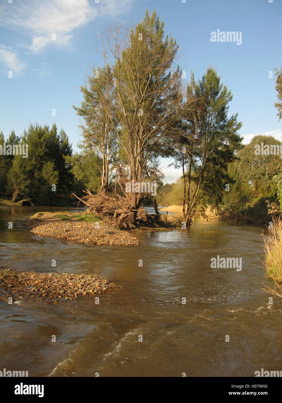 Hunter River, Singleton, New South Wales Stock Photo - Alamy