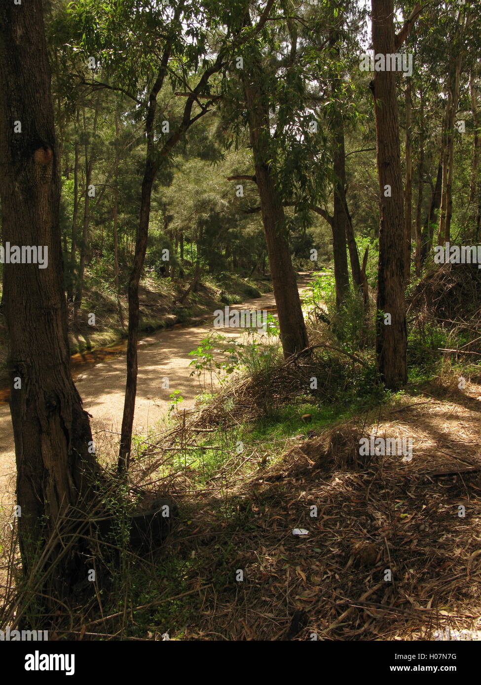 Yengo national park hi-res stock photography and images - Alamy