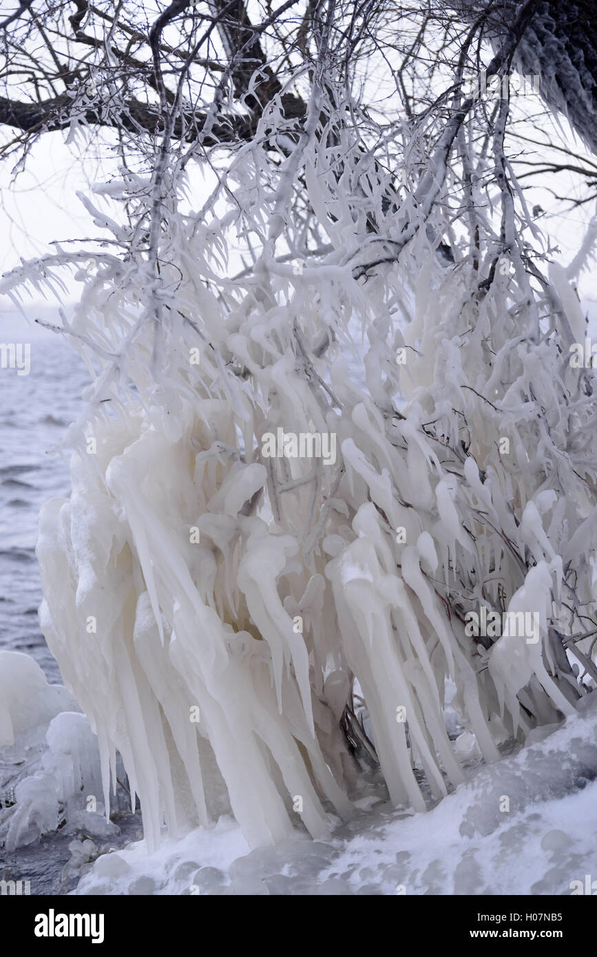Beautiful Natural Ice Ornaments on the Trees Stock Photo - Alamy