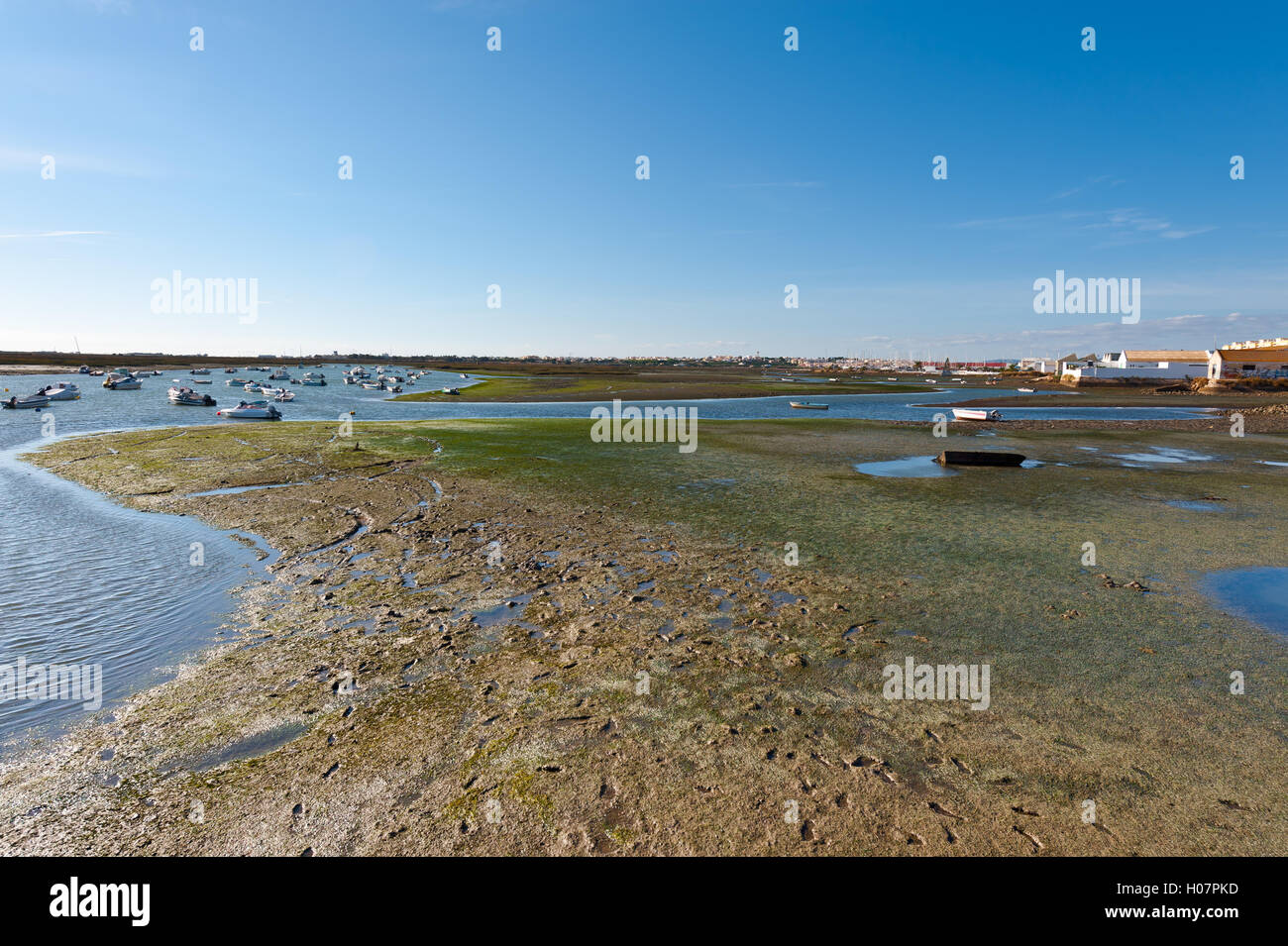 Swamp soil hi-res stock photography and images - Alamy