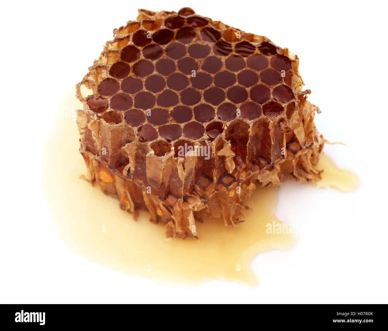 Honey Bee Comb Macro High Resolution Stock Photography and Images - Alamy
