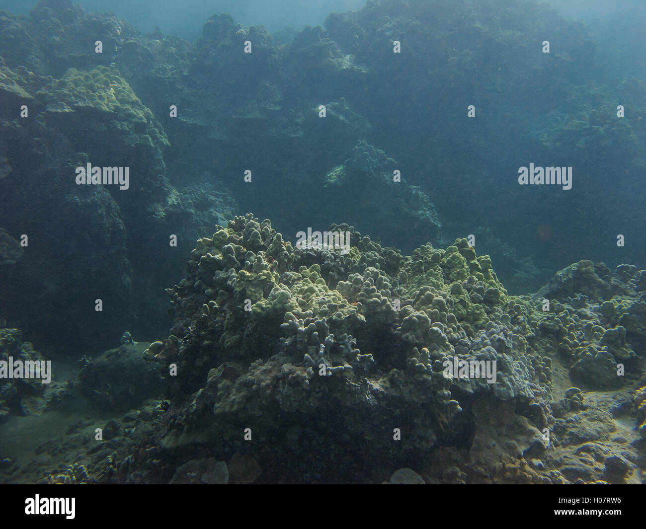 Beauty of seawater hi-res stock photography and images - Alamy
