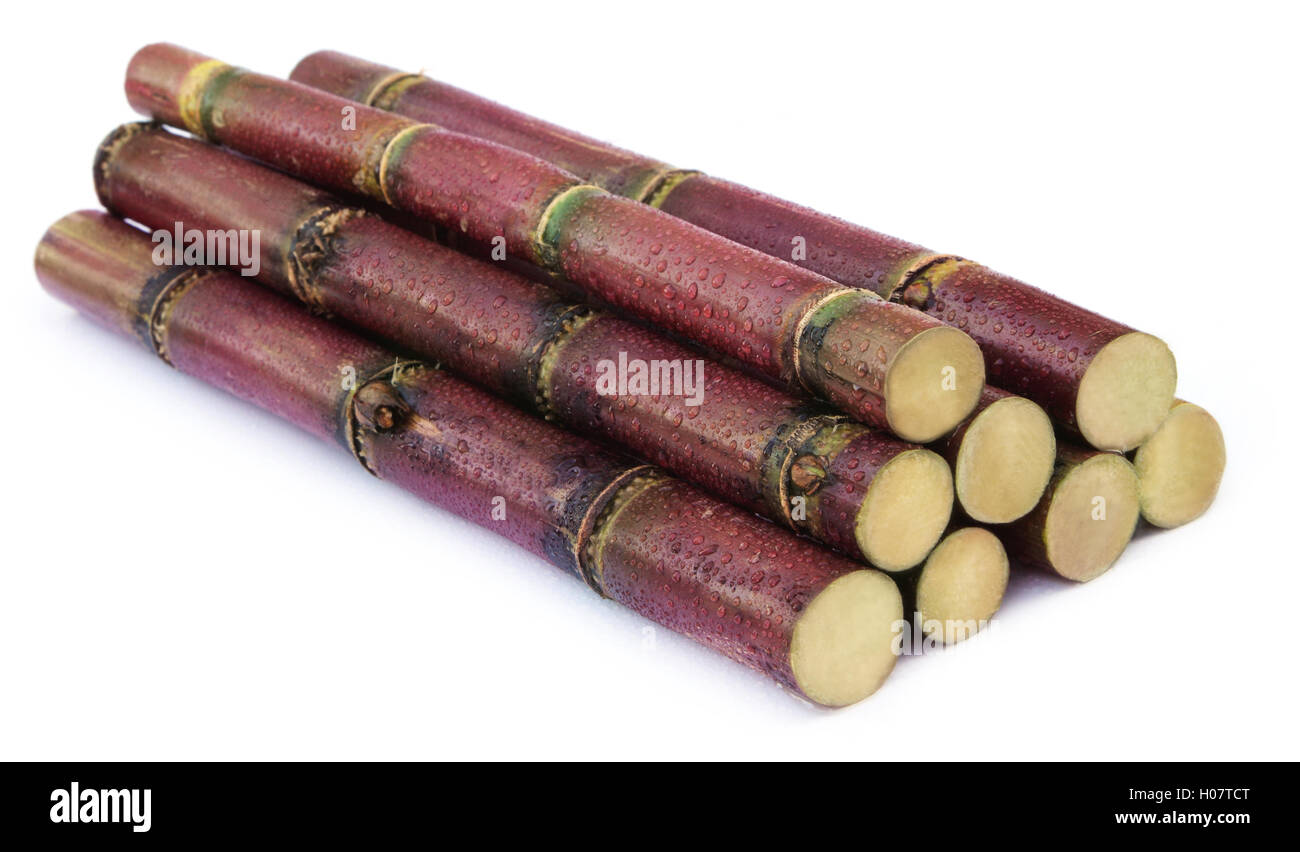 Sugarcane red hi-res stock photography and images - Alamy