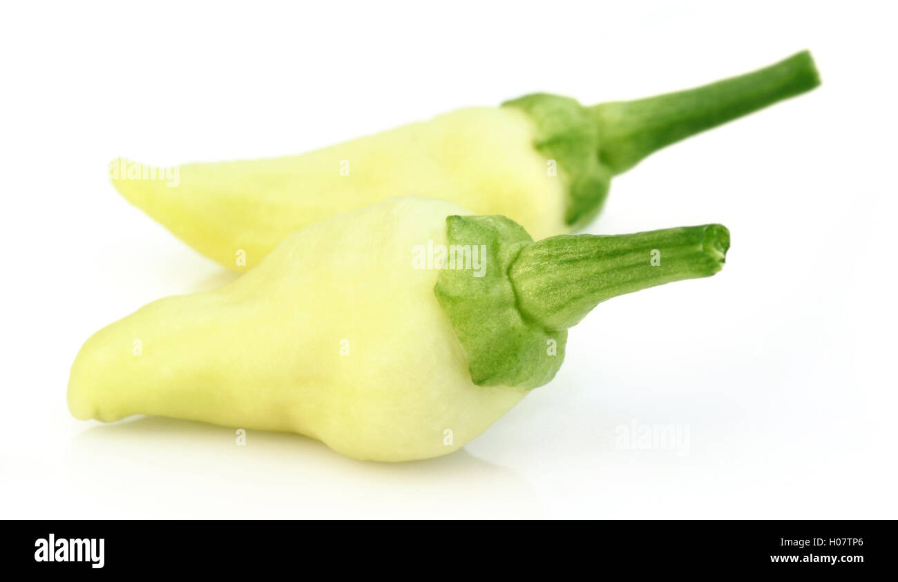 Fresh white chili Stock Photo - Alamy