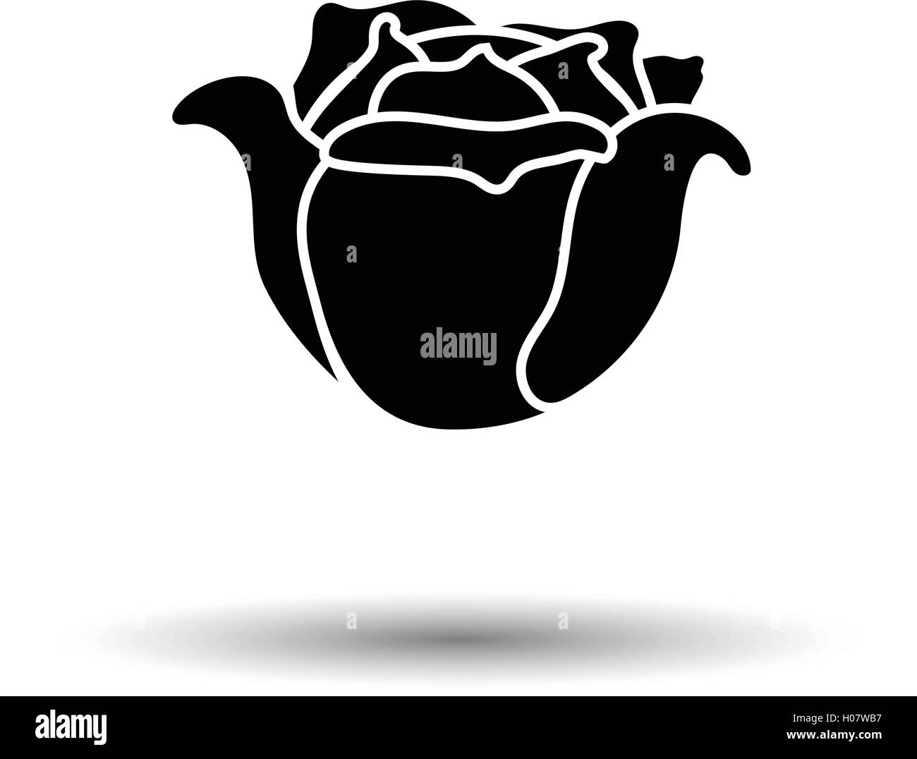 Cabbage icon. White background with shadow design. Vector illustration ...