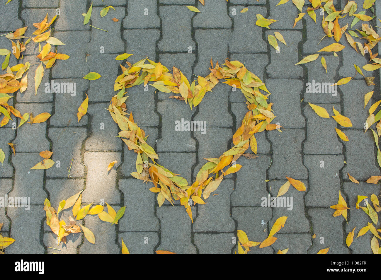 Heart made of colorful leaves on the ground Stock Photo - Alamy