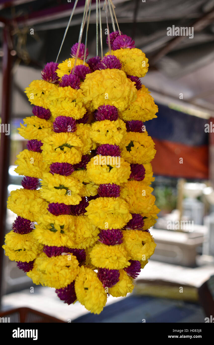 Ceremonial plants hi-res stock photography and images - Alamy