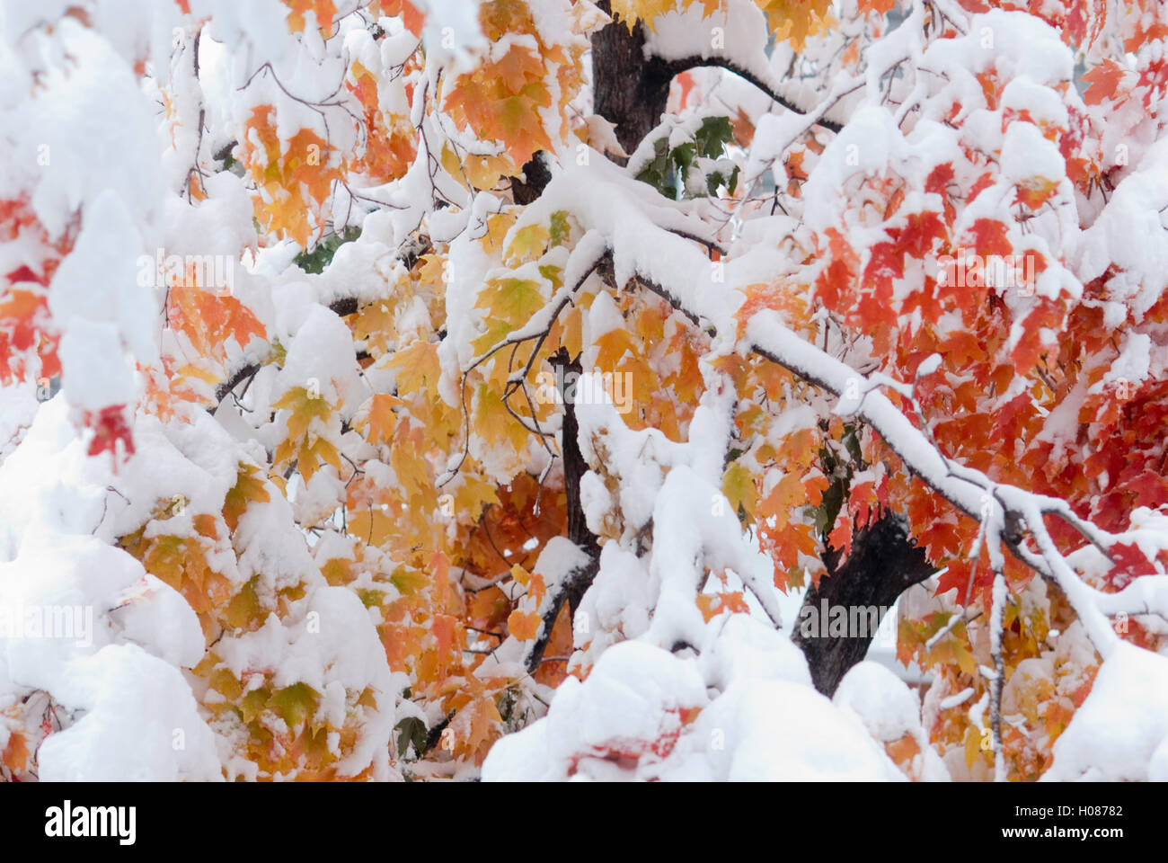 Boulder precipitation hi-res stock photography and images - Alamy