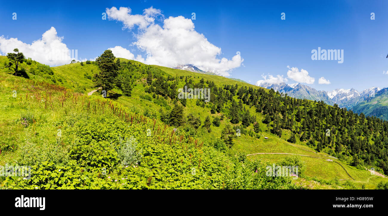 mountains, green, peaks, Georgia, Svanetia Stock Photo - Alamy