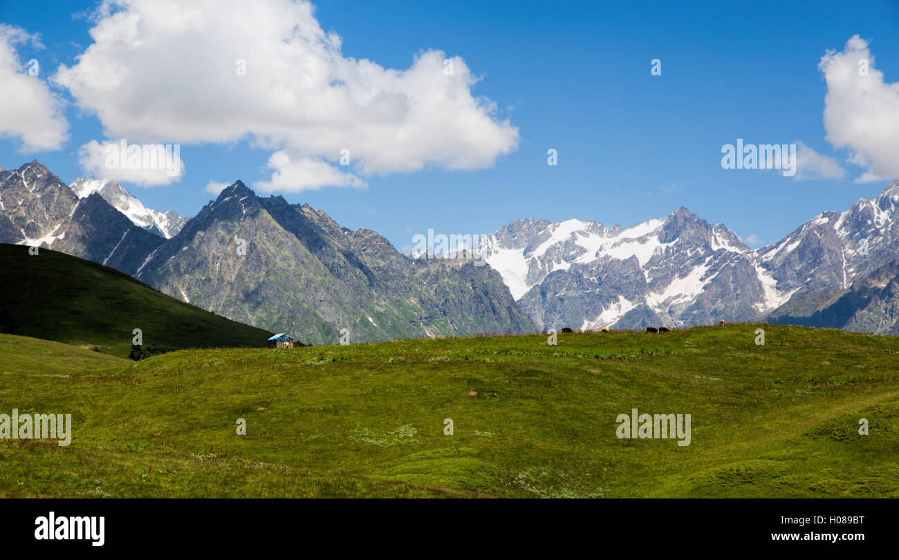mountains, green, peaks, Georgia, Svanetia Stock Photo - Alamy