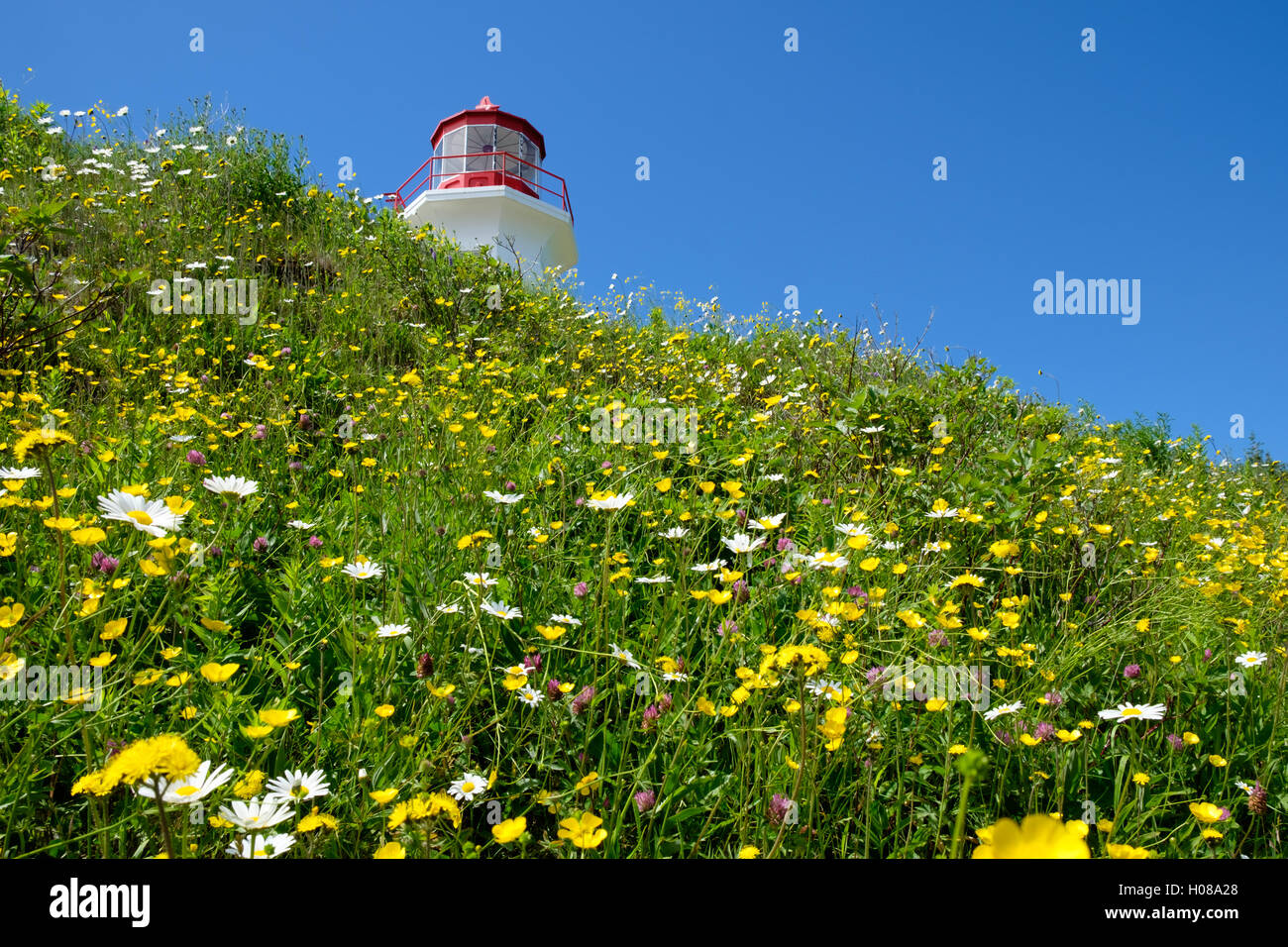 Lighthouse and flowers Stock Photo - Alamy