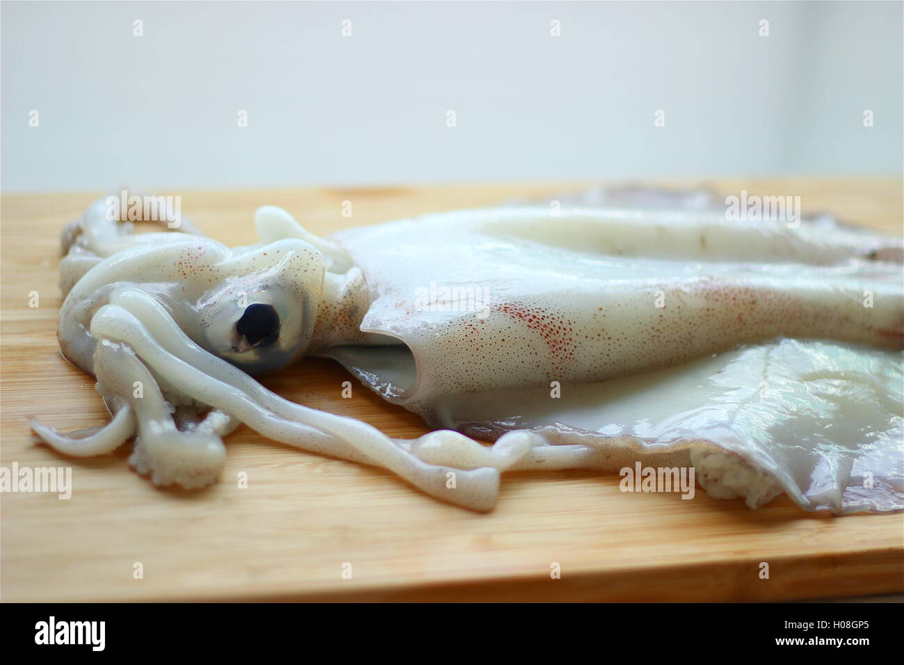 Raw squid on the cutting board Stock Photo - Alamy