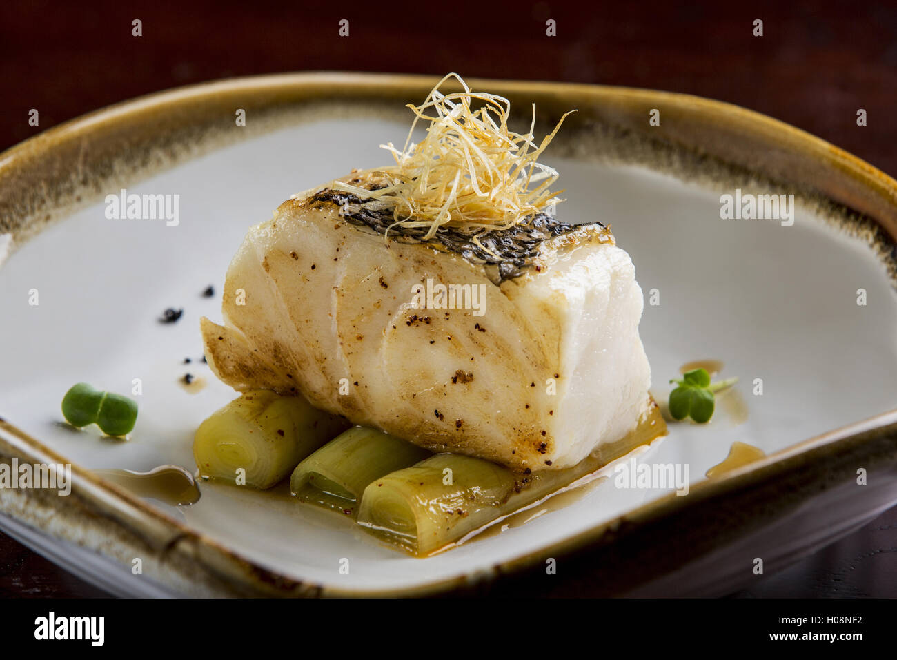 Toothfish hi-res stock photography and images - Alamy