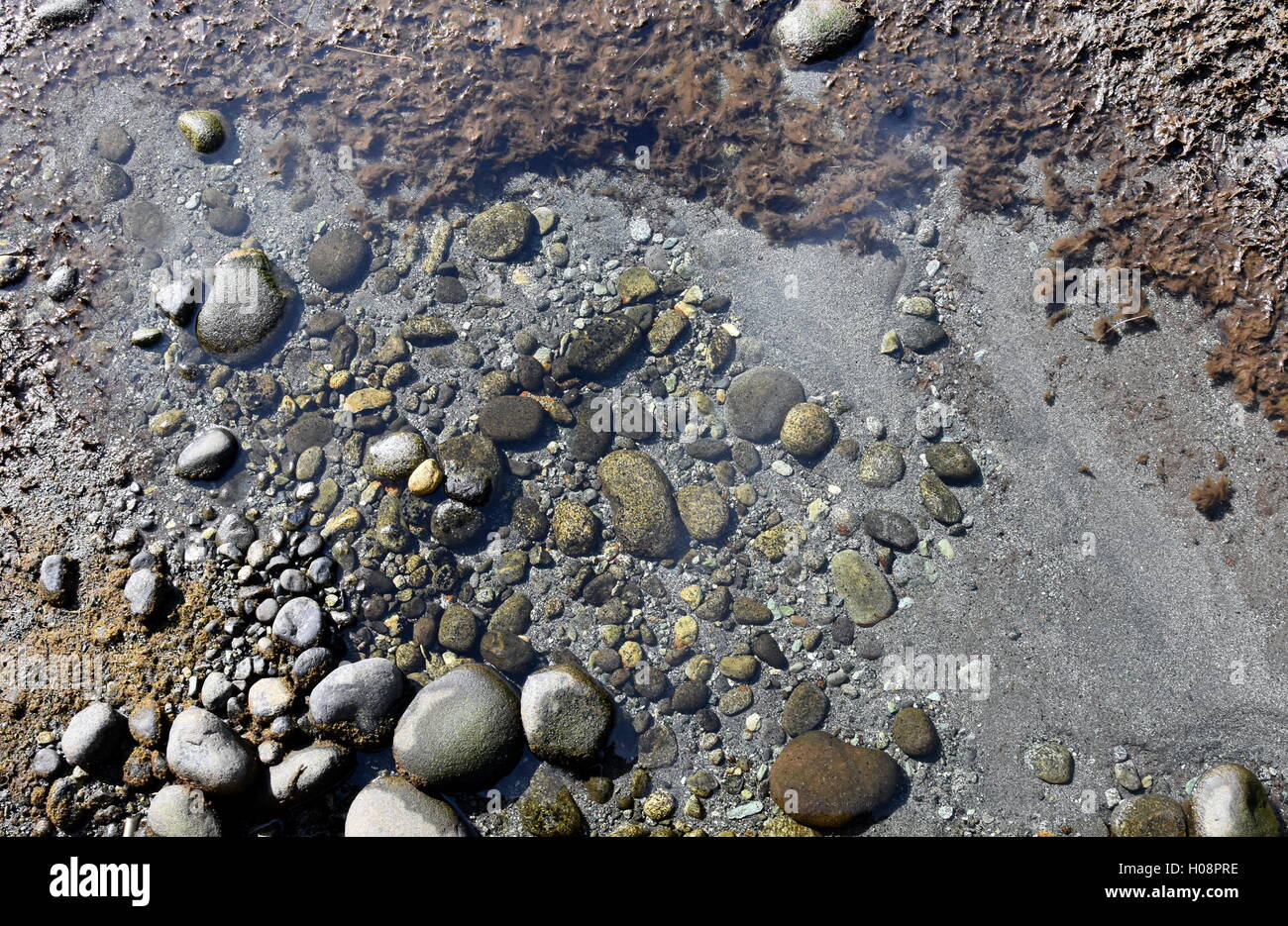 Natural wet rocks in river water background Stock Photo - Alamy