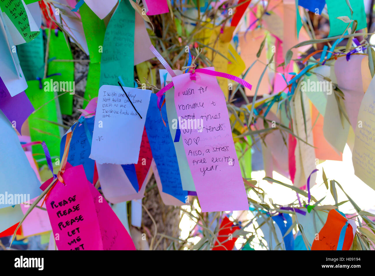 Wish tree hi-res stock photography and images - Alamy