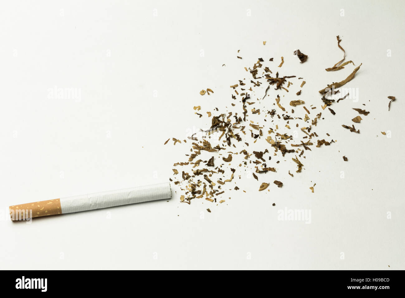 Cigarette with smoke / splash made out of tobacco. Creative, original ...