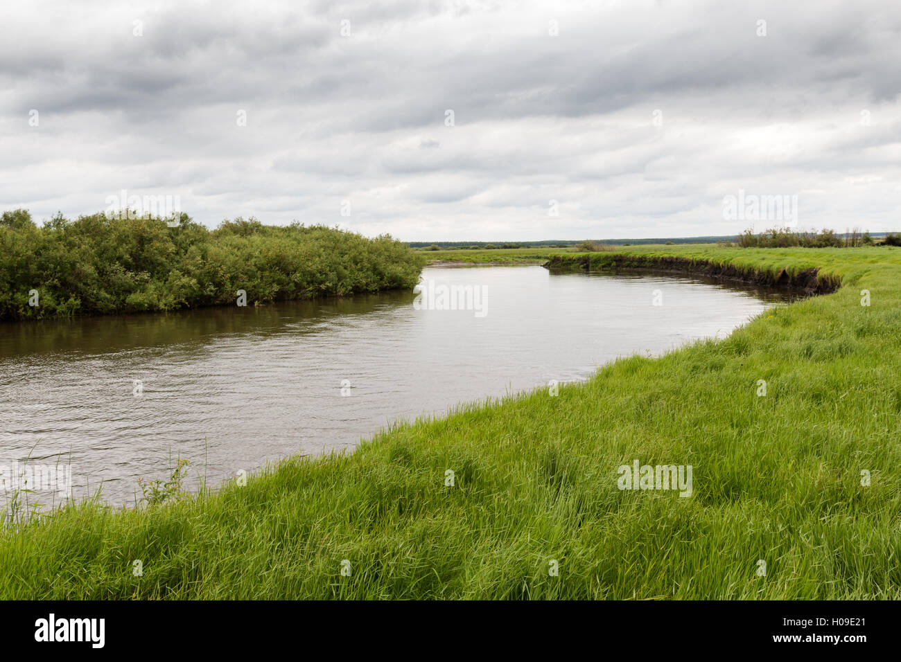 River grass hi-res stock photography and images - Alamy