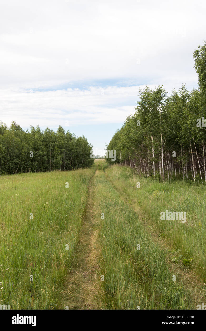 Straight road between two hi-res stock photography and images - Alamy