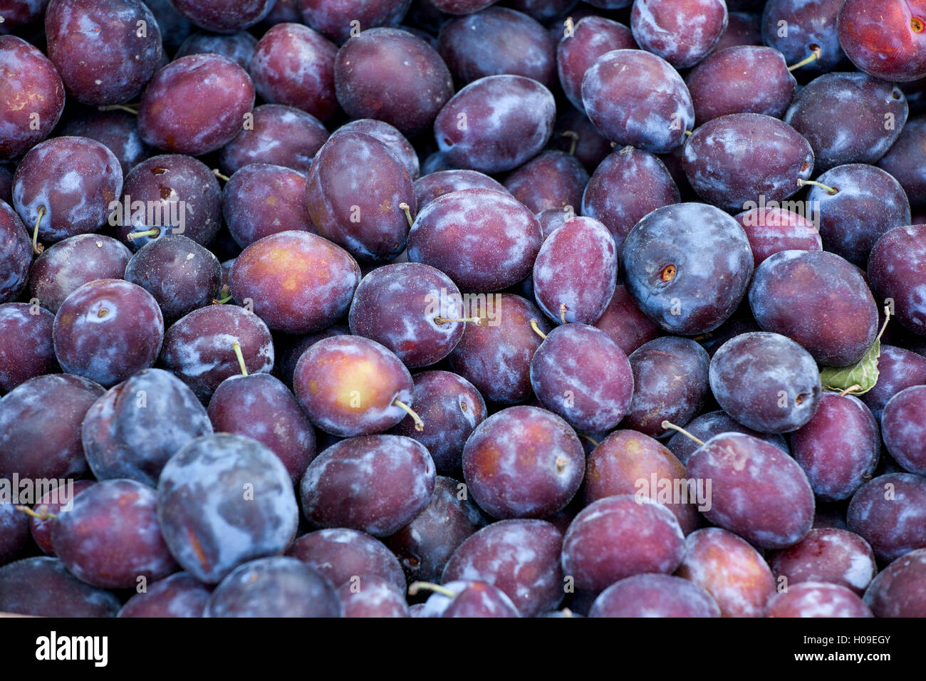 Group of fresh plums on a market Stock Photo - Alamy