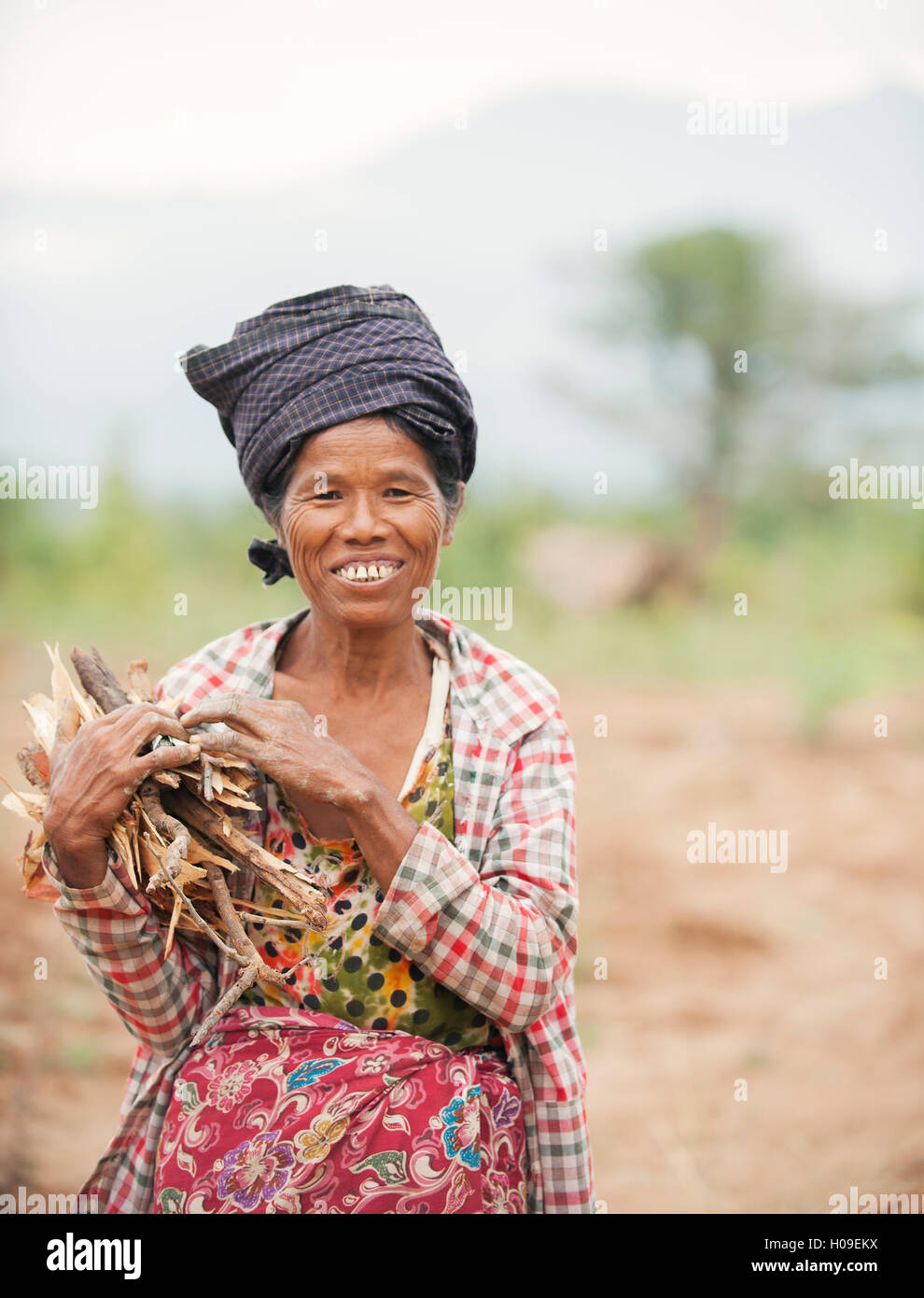 Burmese peasant collecting wood in the ancient city of Bagan (Pagan ...