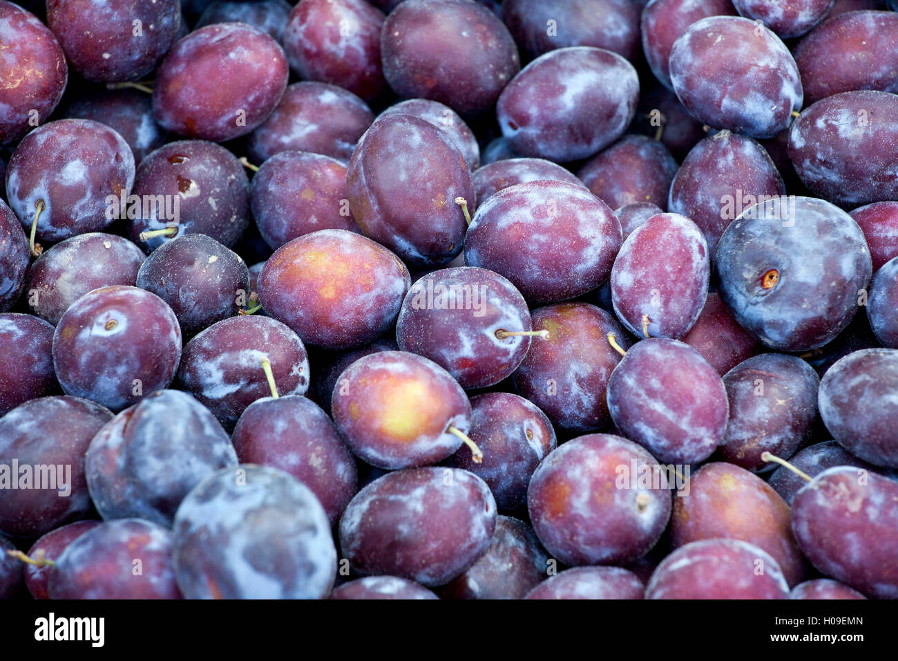 Group of fresh plums on a market Stock Photo - Alamy