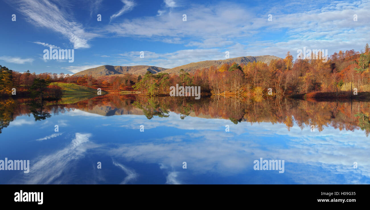 Autumn colour reflected in the still waters of Tarn Hows in the Lake ...