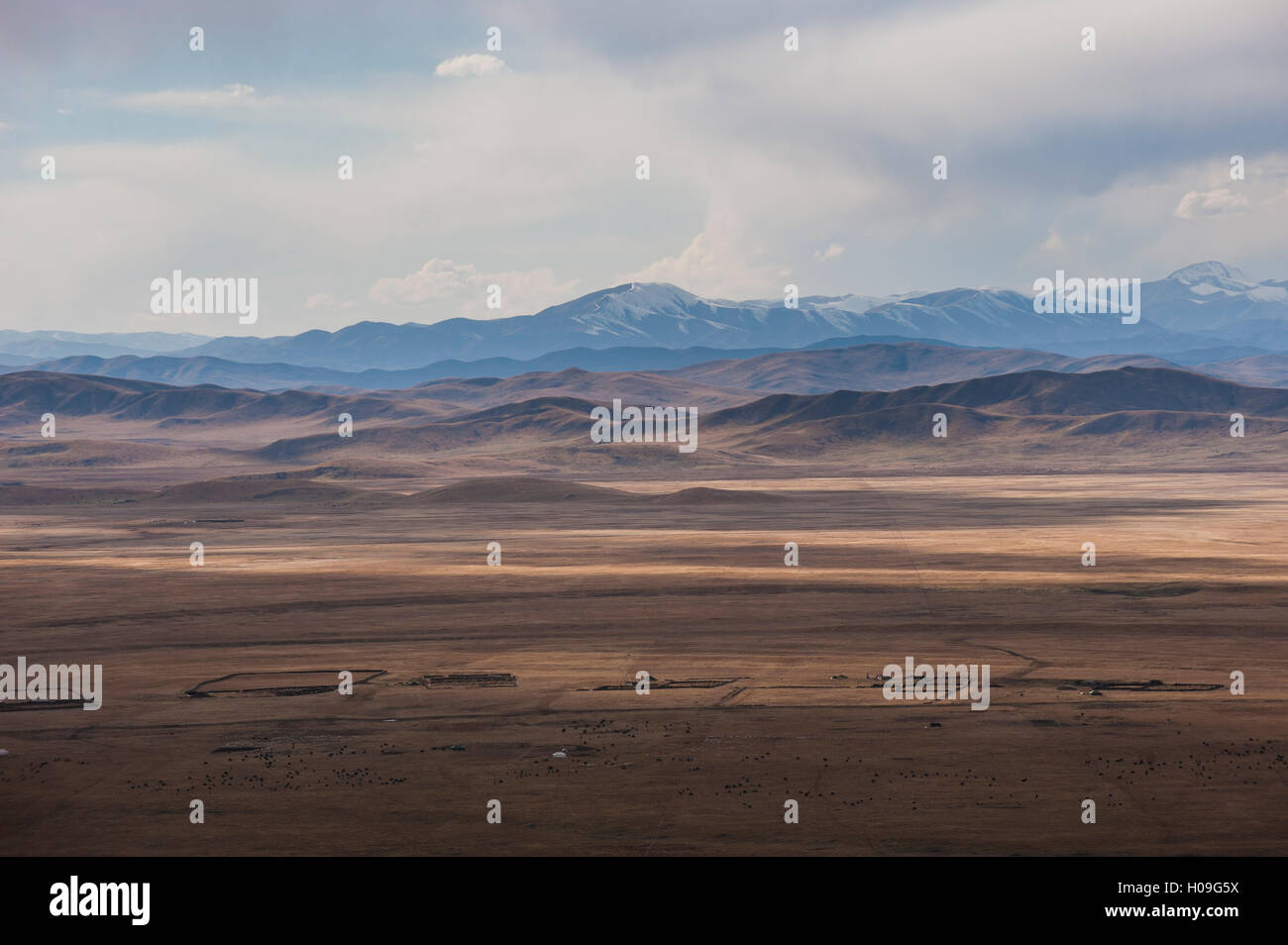 Yaks grazing on the vast open rangelands on the edge of the Tibetan ...