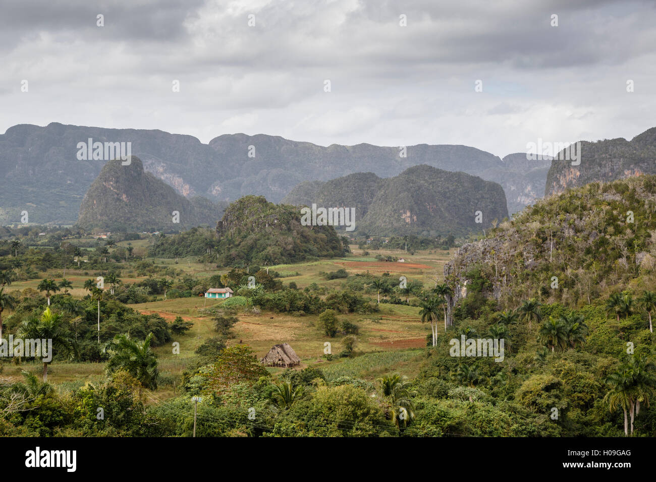 Mogotes in the Vinales Valley, UNESCO World Heritage Site, Pinar del ...