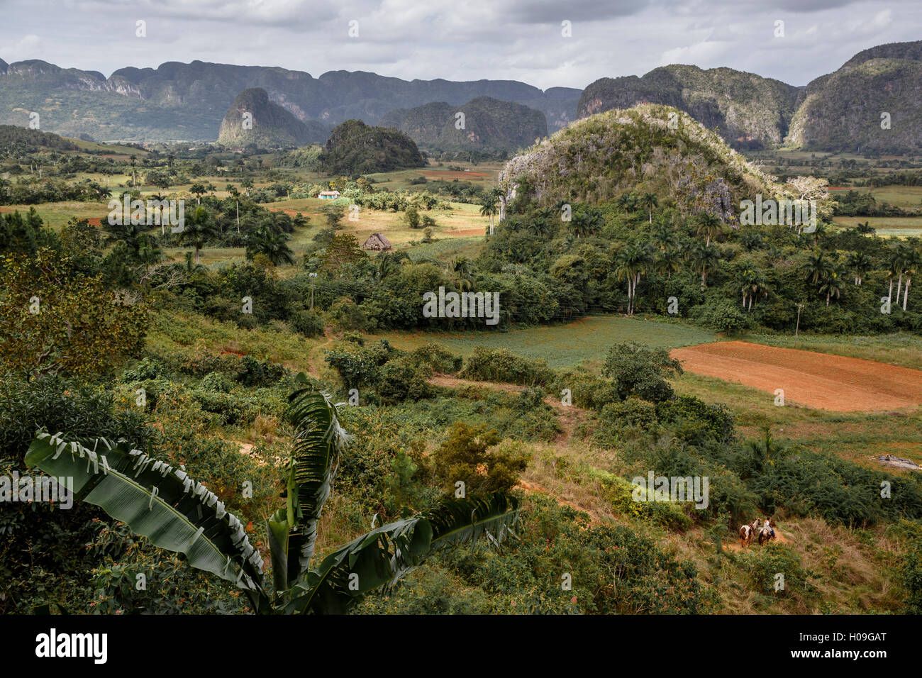 Mogotes in the Vinales Valley, UNESCO World Heritage Site, Pinar del ...