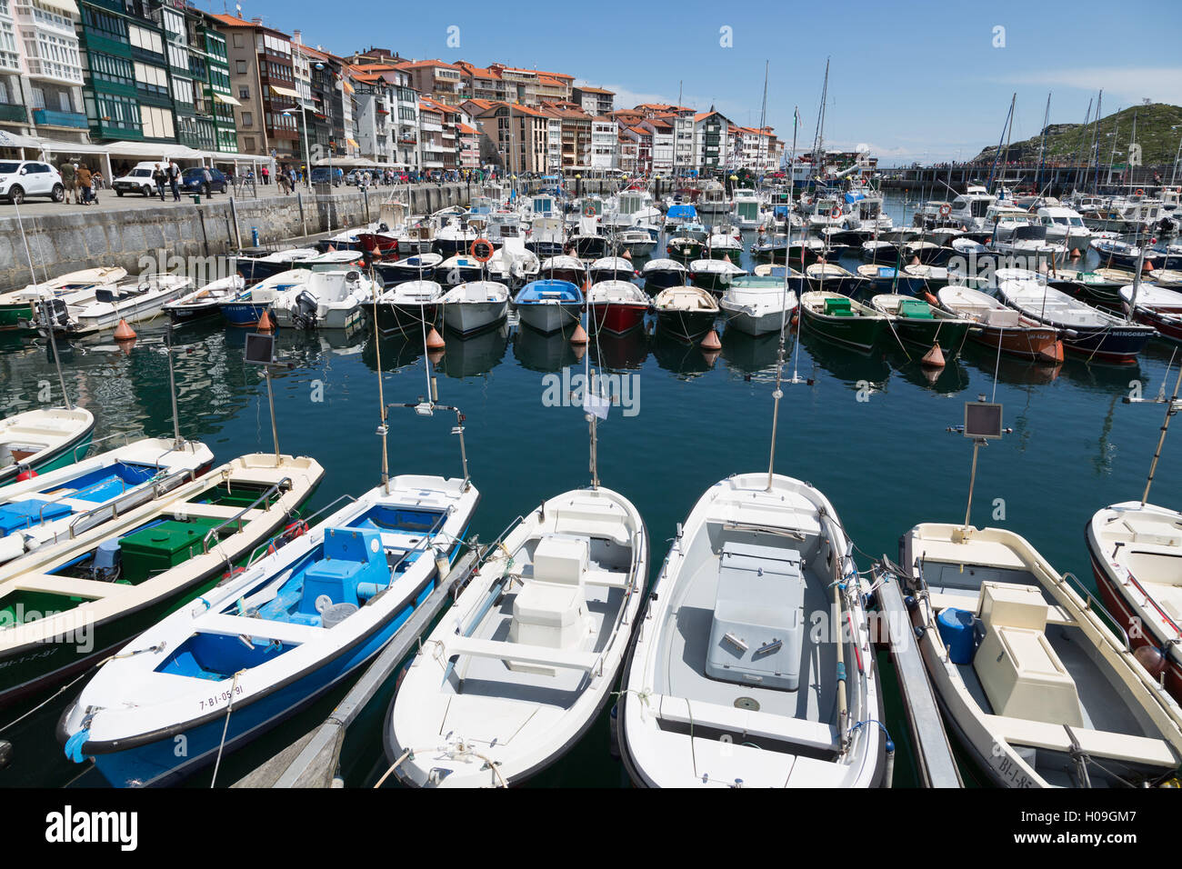 Traditional fishing boats moored in the harbour in Lekeitio, Basque ...