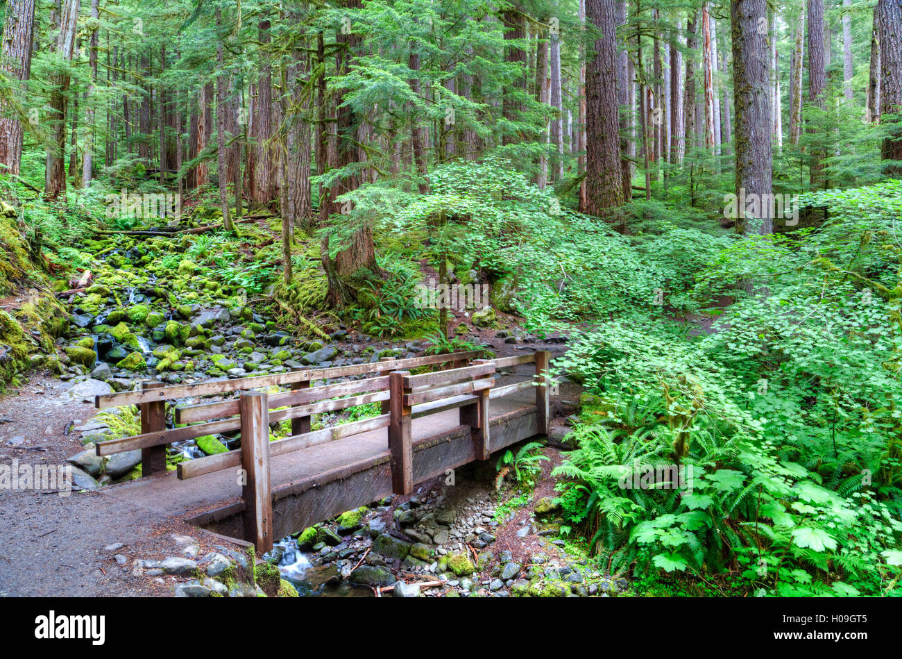 Sol duc hi-res stock photography and images - Alamy