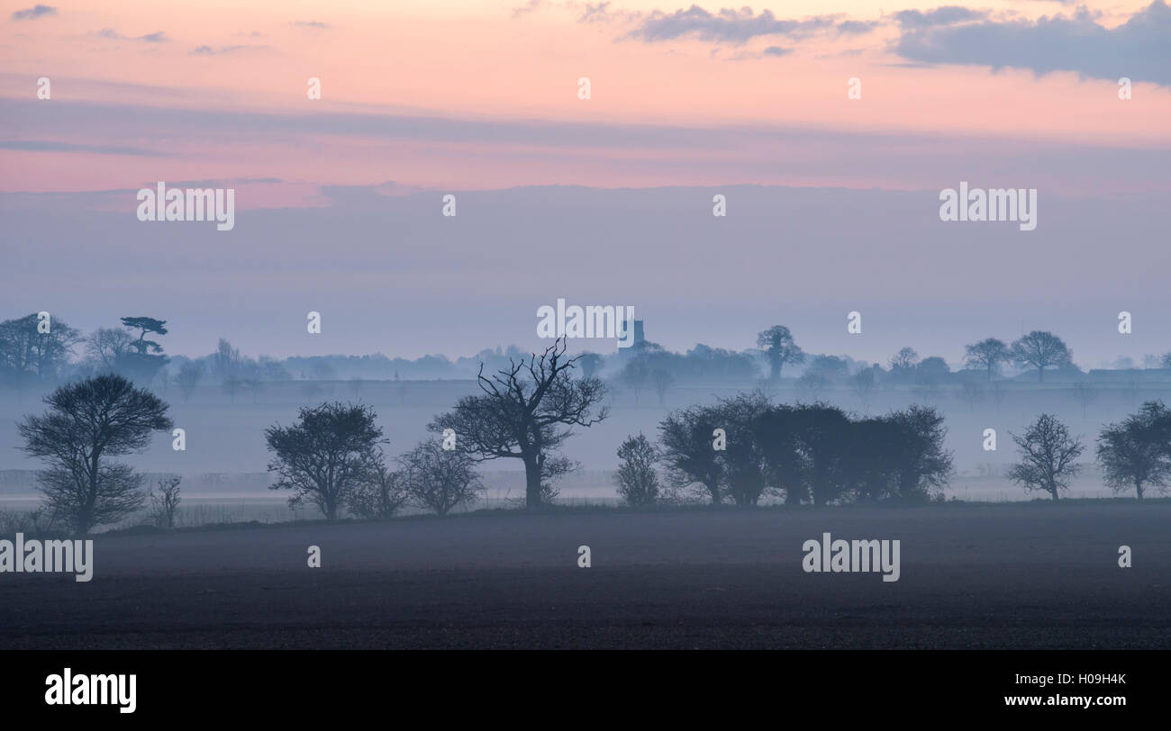 A view across fields on a misty morning towards the village of Martham ...