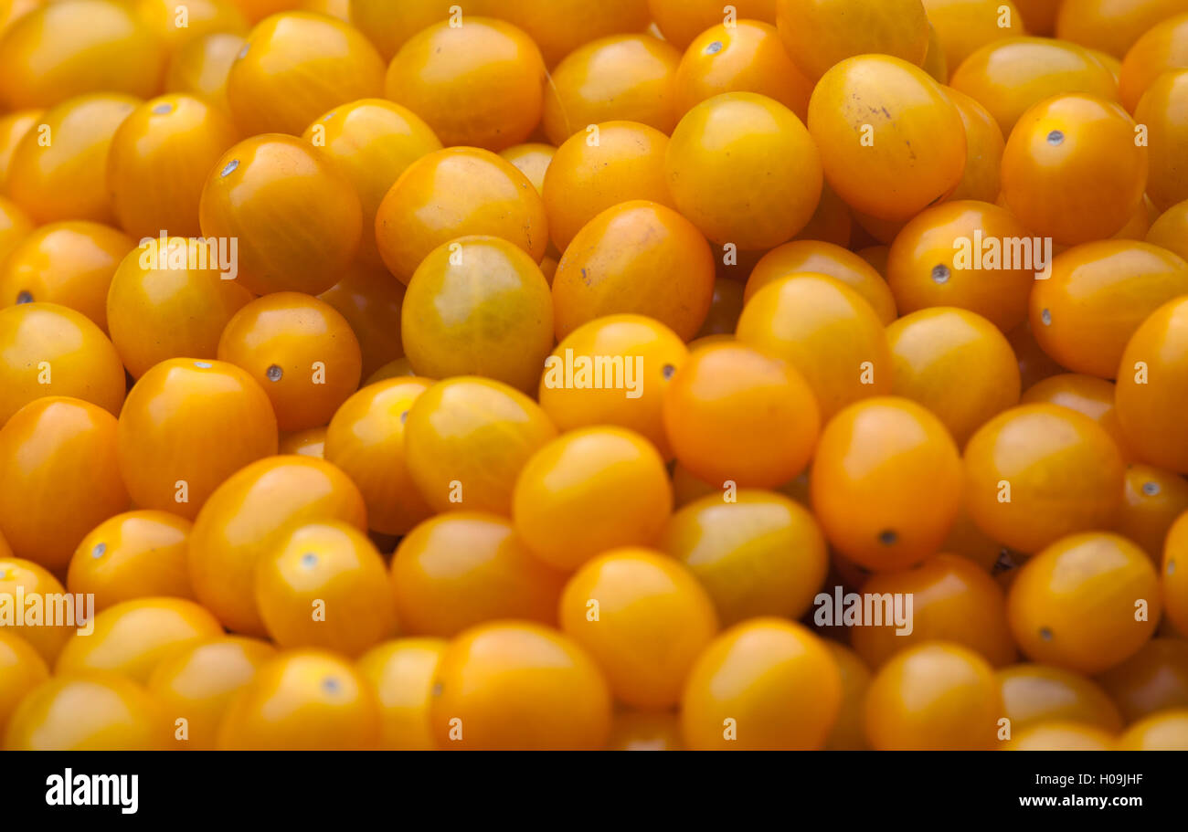 Group of ripe fresh yellow little tomatoes Stock Photo - Alamy
