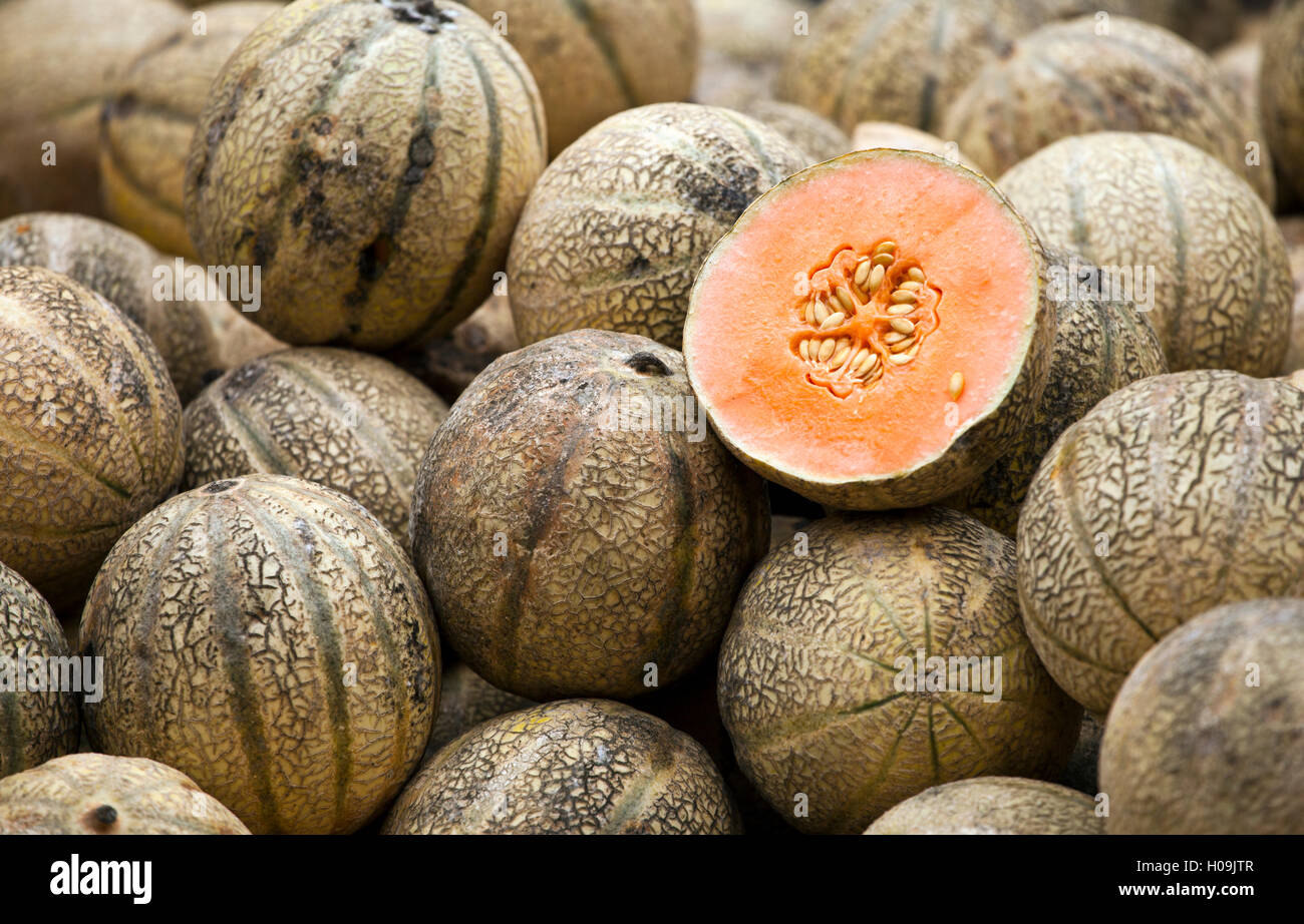 Group of fresh melons on a market Stock Photo - Alamy