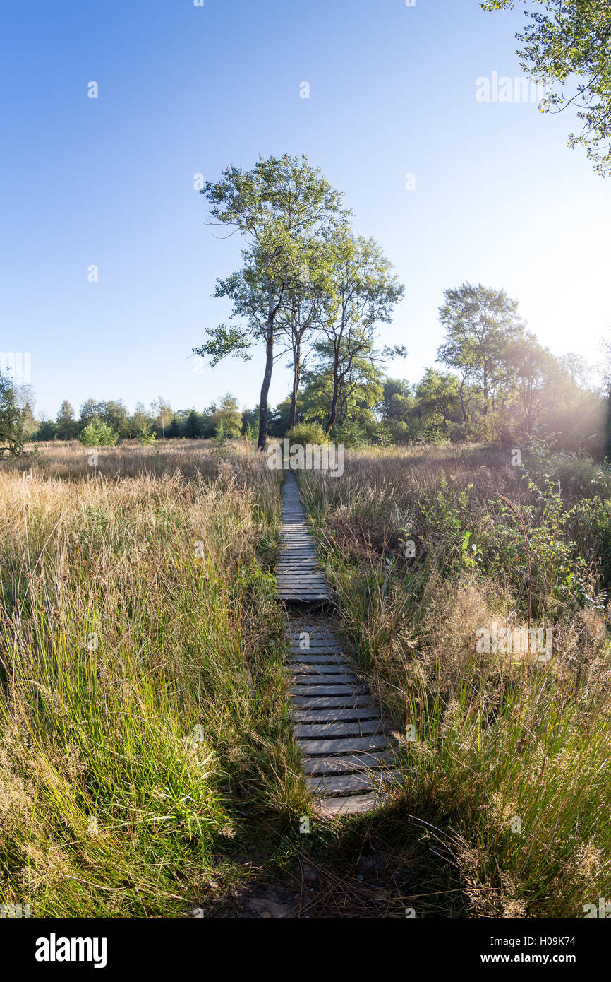 High fagnes eifel nature park hi-res stock photography and images - Alamy