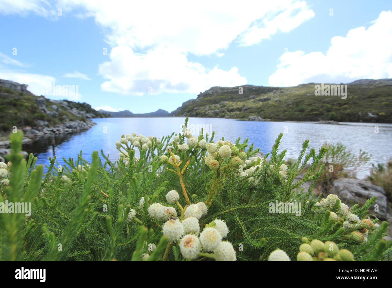 The Dam at the top of Table Mountain Stock Photo - Alamy