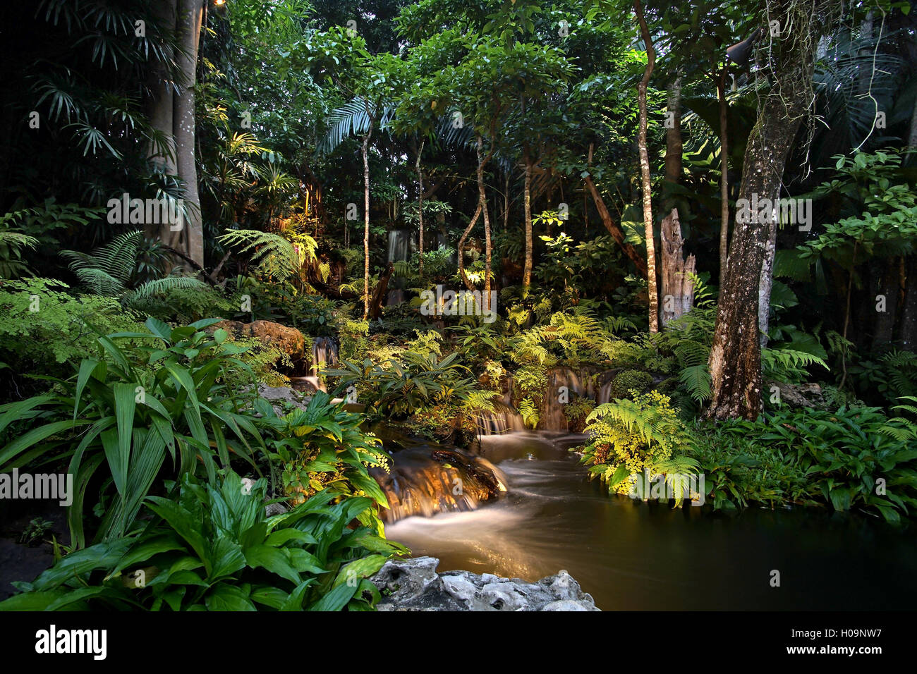 landscape photo, waterfall in forest at the night Stock Photo - Alamy