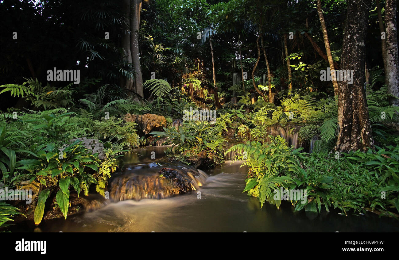 landscape photo, waterfall in forest at the night Stock Photo - Alamy
