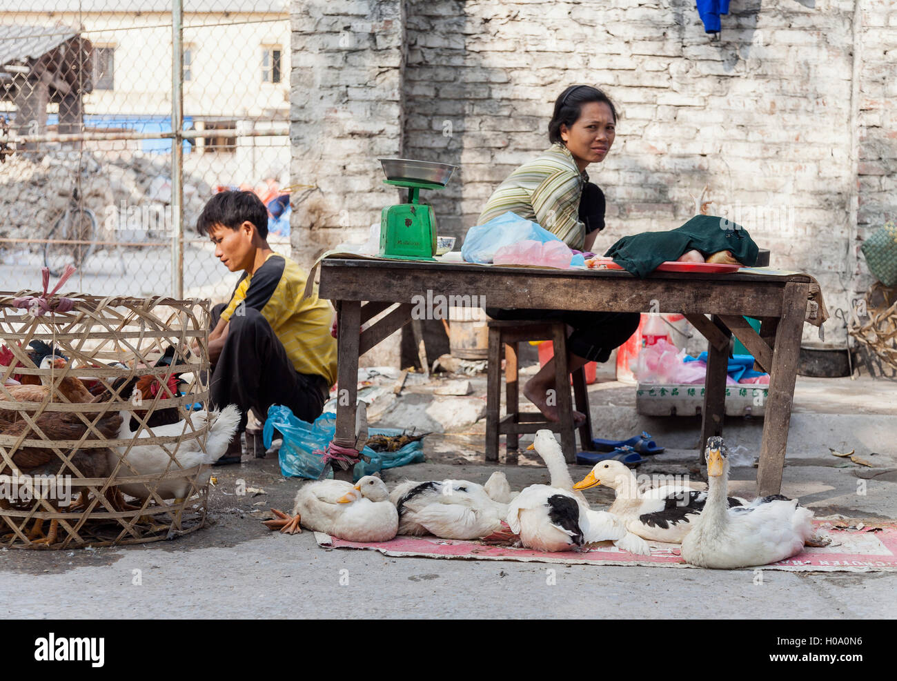 Live ducks for sale, Vietnam Stock Photo - Alamy