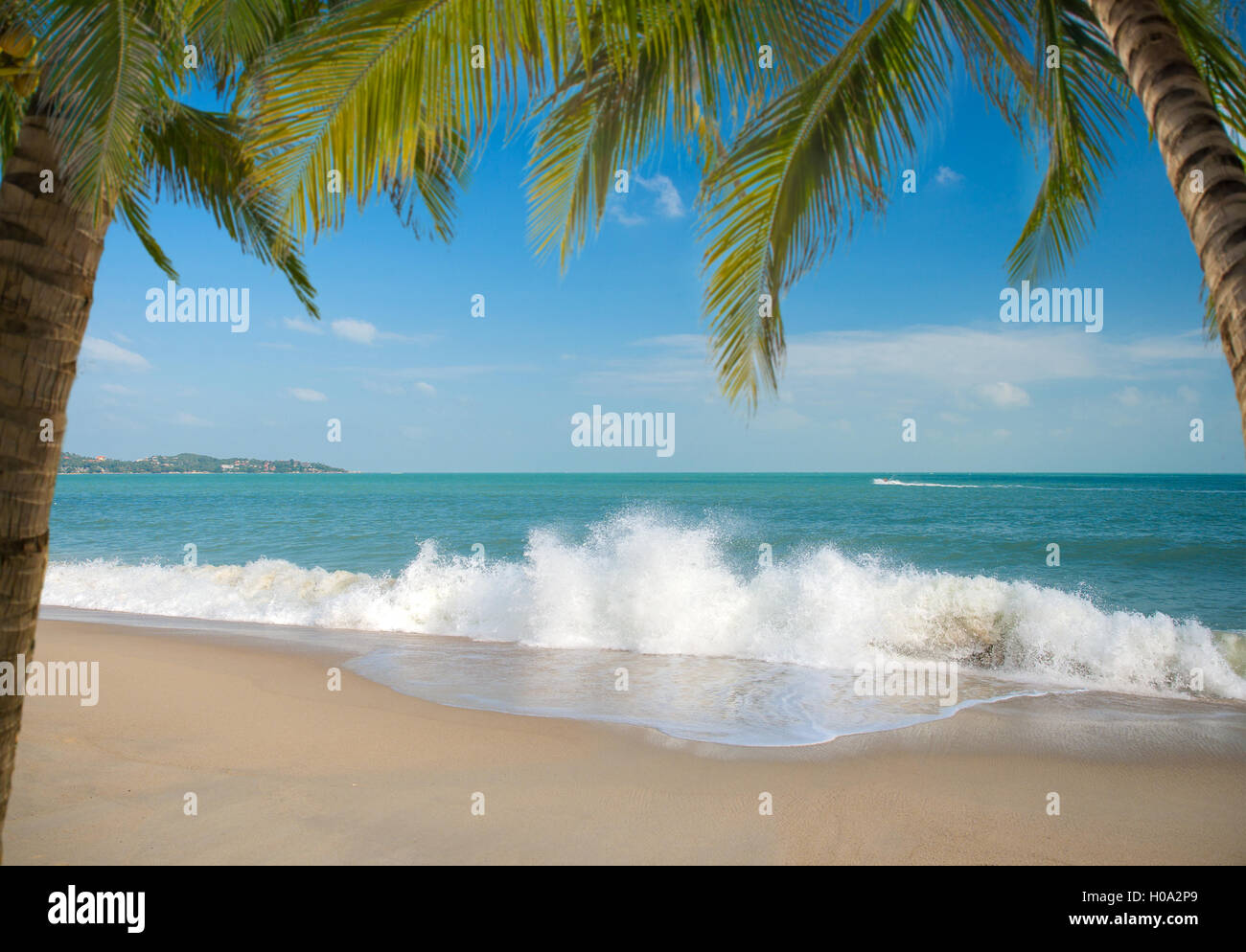 Amazing Tropical beach with coconut trees Stock Photo - Alamy