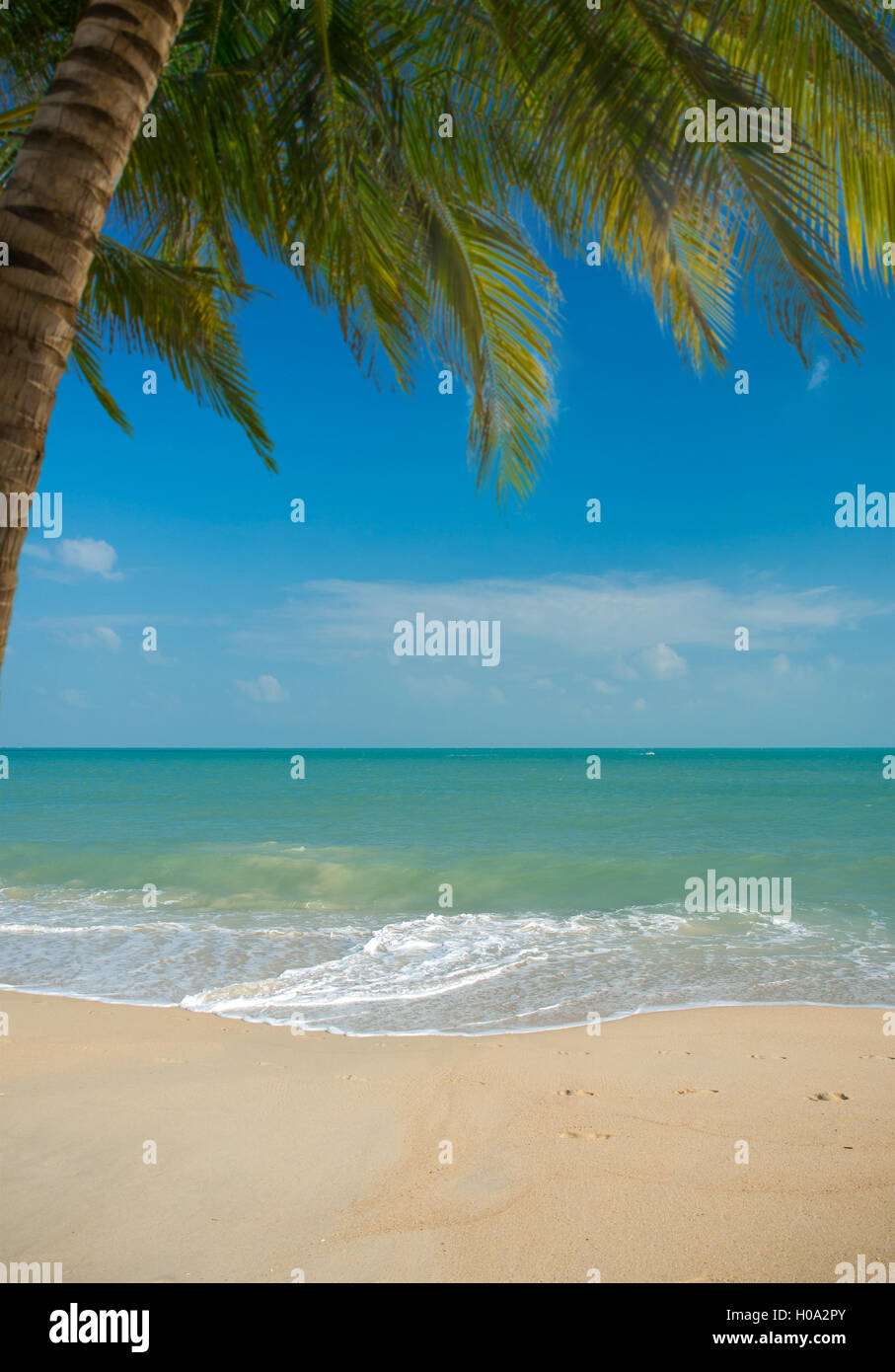 Amazing Tropical beach with coconut trees Stock Photo - Alamy