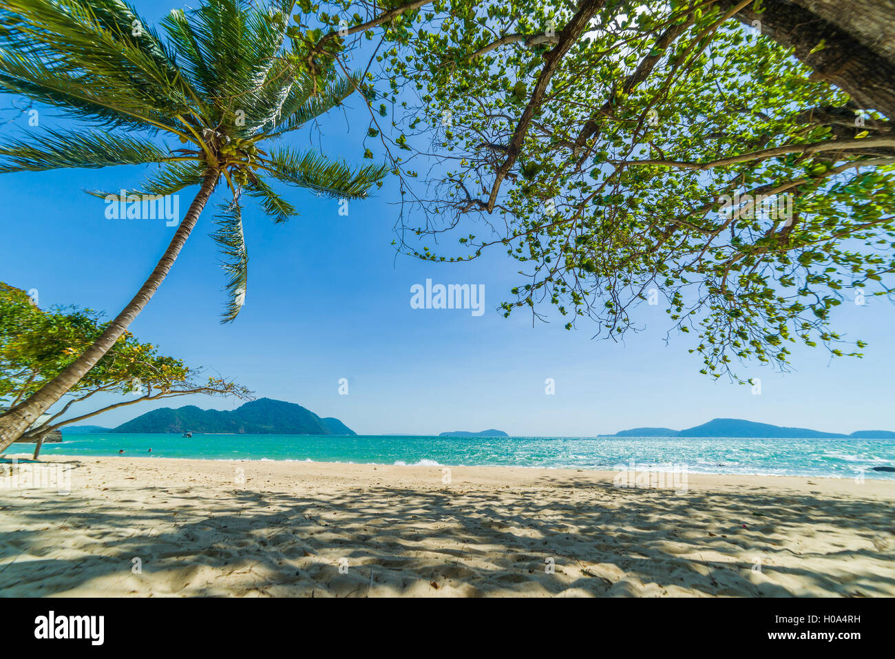 Amazing Tropical beach with coconut trees Stock Photo - Alamy