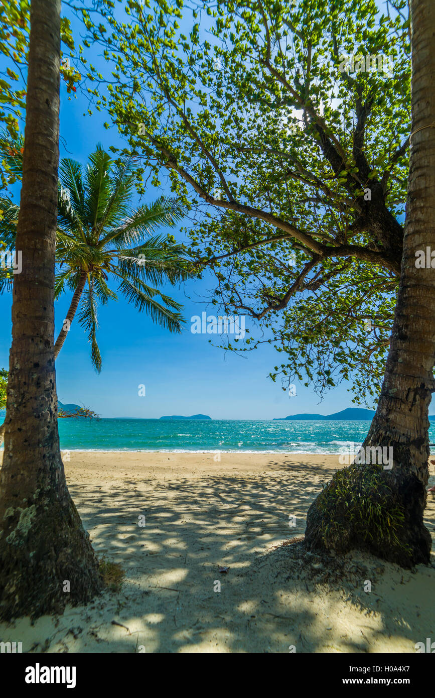 Amazing Tropical beach with coconut trees Stock Photo - Alamy