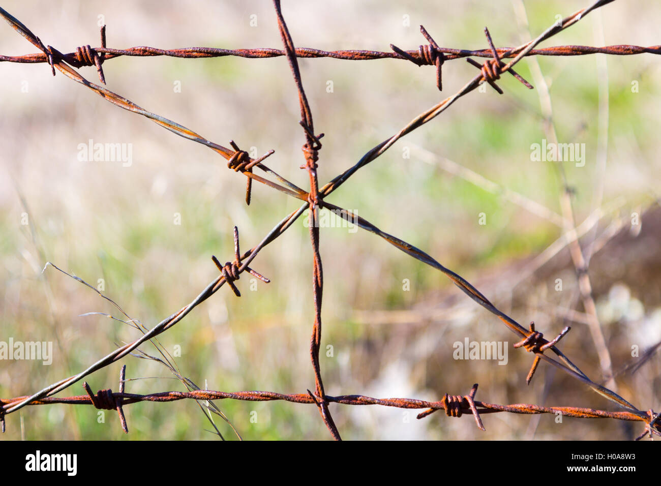 Rusty barbed wire hi-res stock photography and images - Alamy