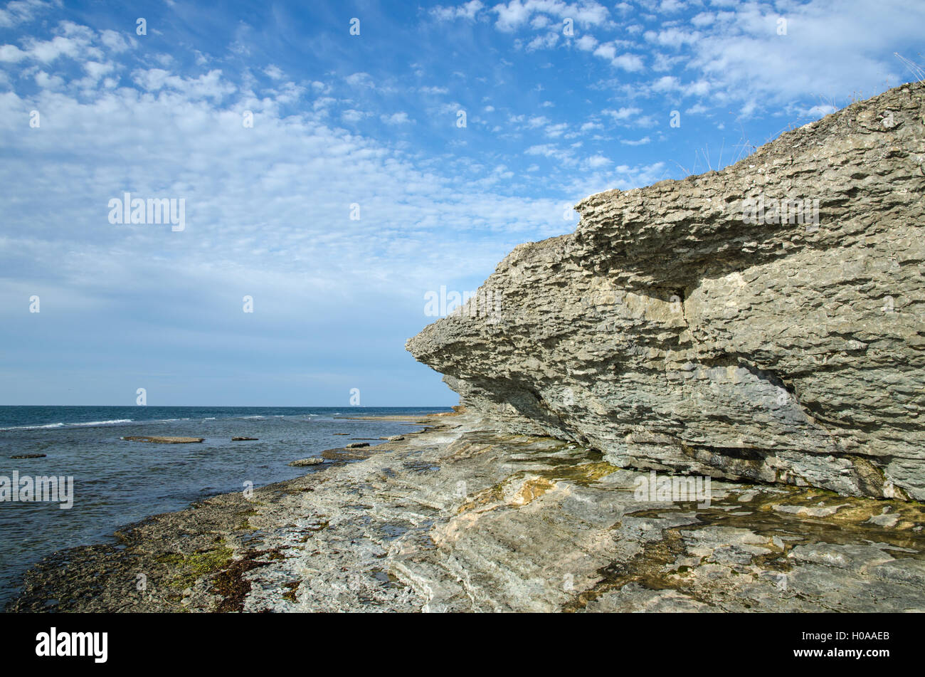 Eroded limestone cliffs by the coast of the swedish island Oland in the ...