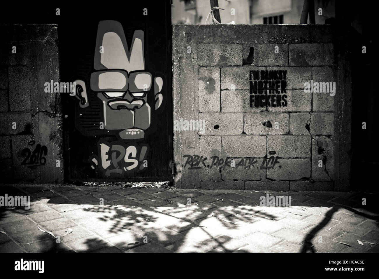 Graffitis in Beirut - 10/06/2016 - Lebanon / Beirut - Mar Mikhail ...