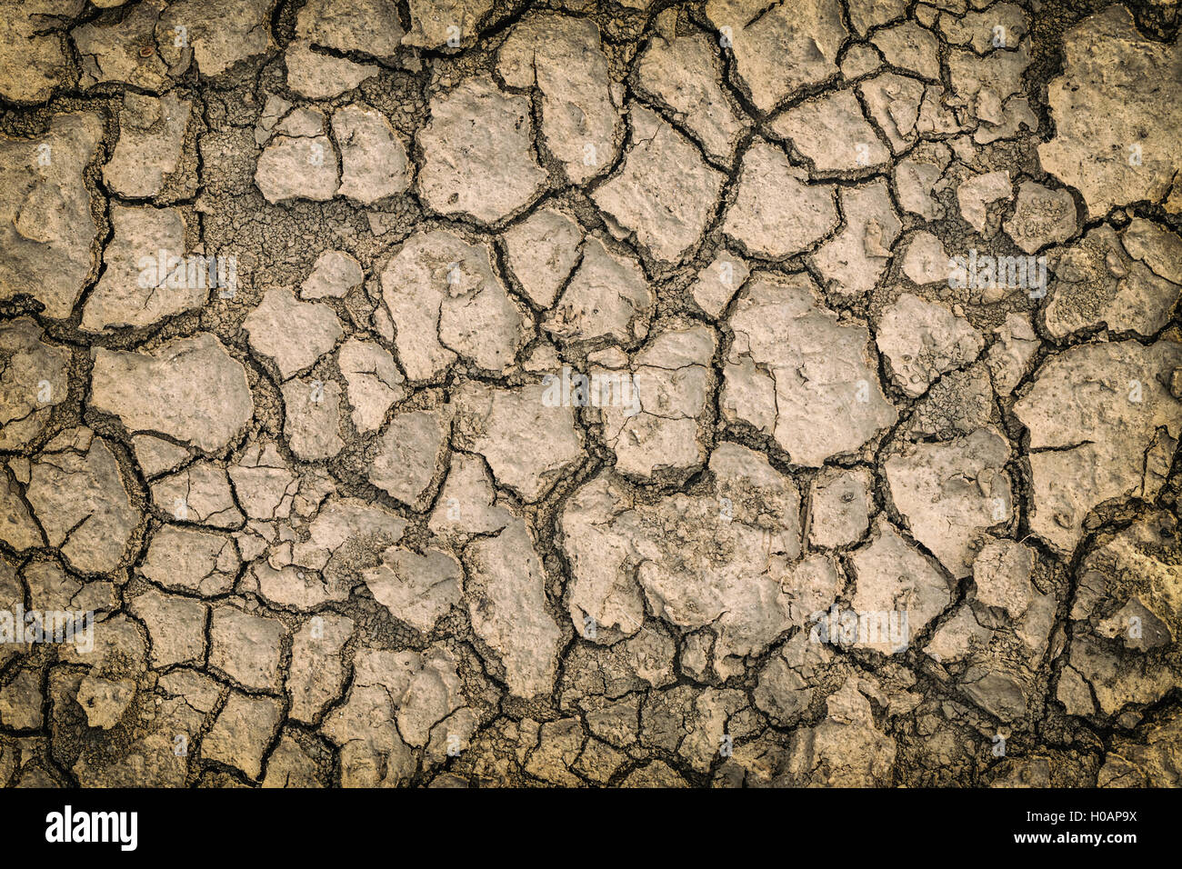 Dry crack soil background, texture Stock Photo - Alamy