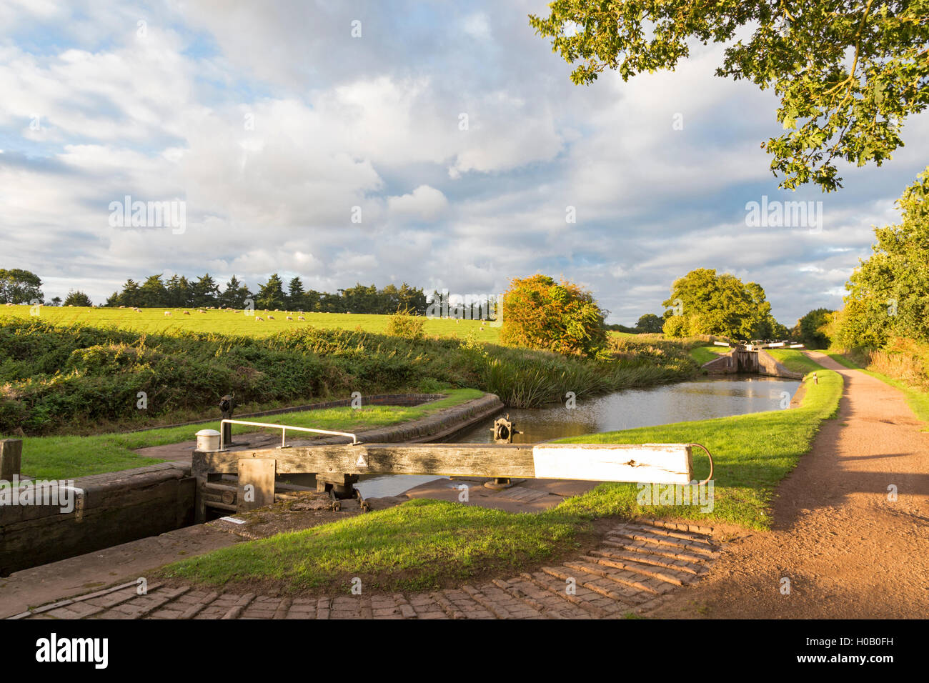 A summers evening on the Worcester & Birmingham Canal at Tardebigge ...