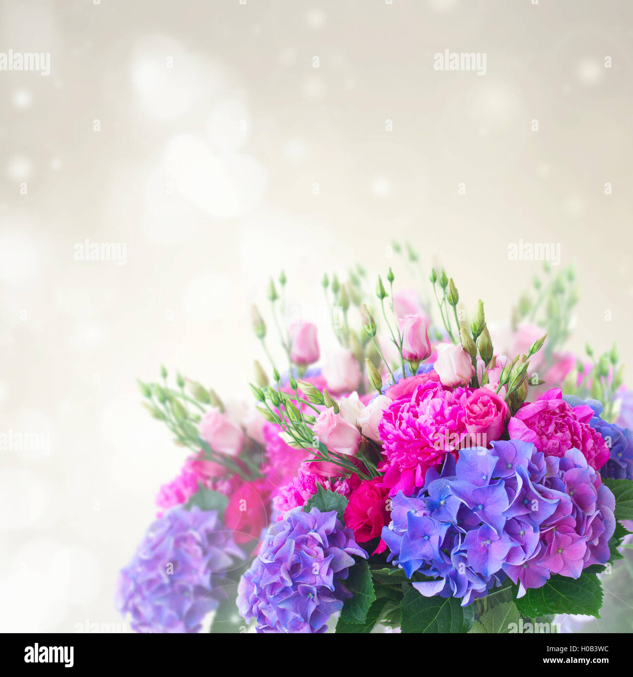 Bright pink and blue flowers Stock Photo - Alamy