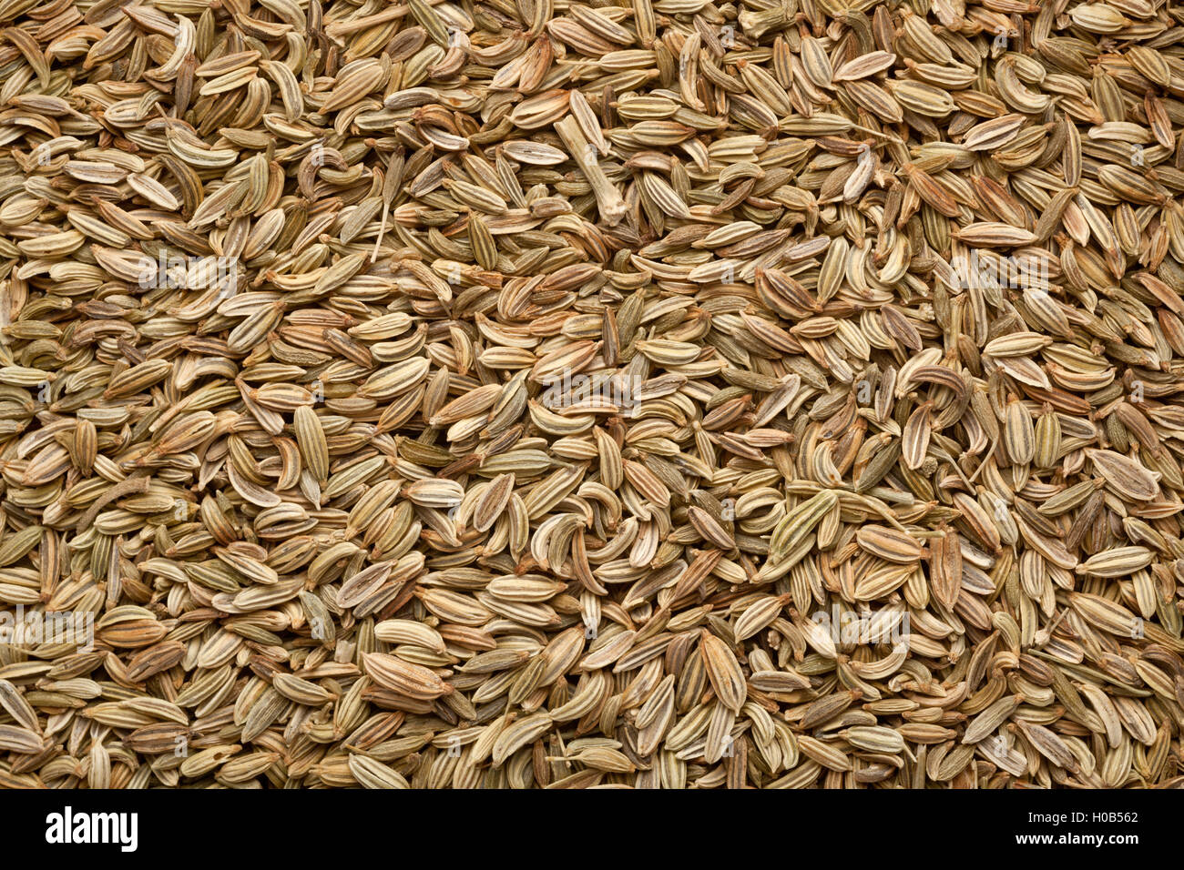 Pile of fennel seeds hi-res stock photography and images - Alamy